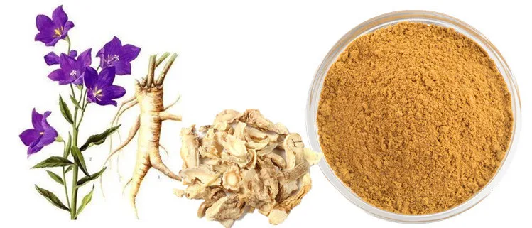 Wholesale 100% Pure Platycodon Grandiflorum Root Extract Radix ...