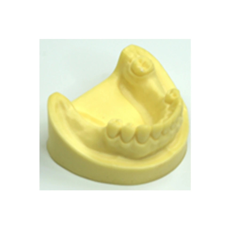 Maxillary Missing Implant Foam Material Bionic Implant Teeth Model ...