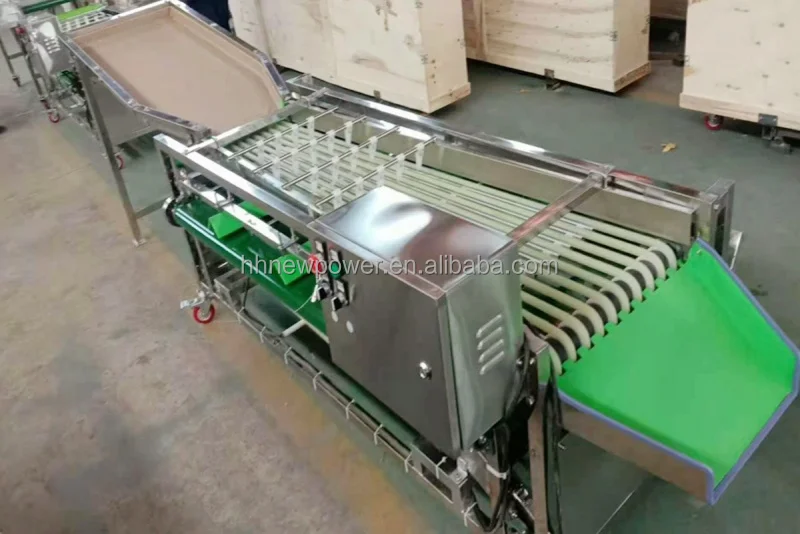 High Efficiency Stainless Steel Automatic Strawberry Sorting Machine ...