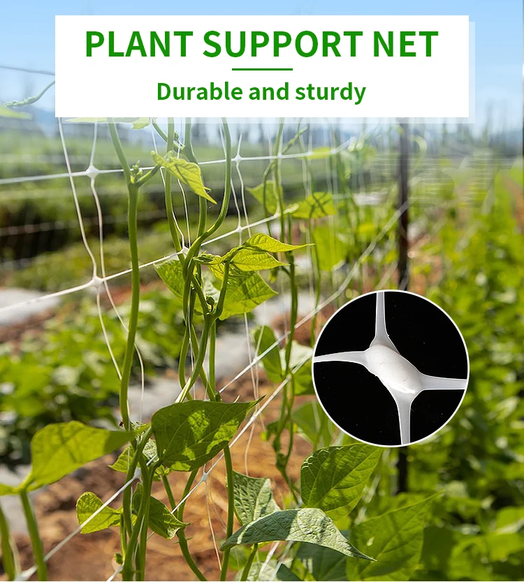 Cucumber/yam/pea/bean/climbing Net for Your Garden Plants| Alibaba.com