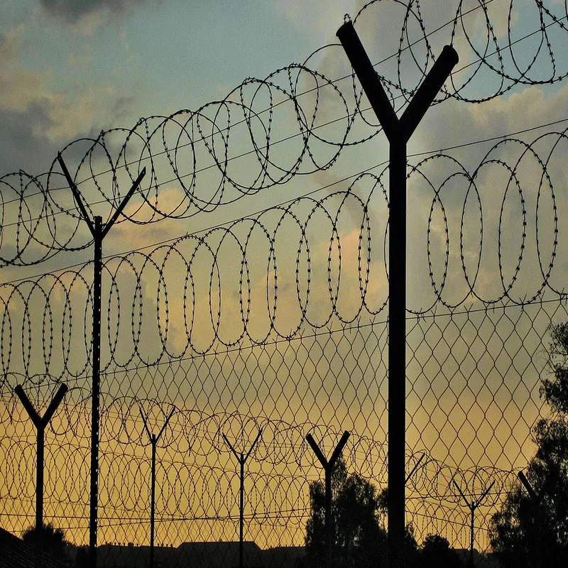 Galvanized Steel Snake Belly Razor Barbed Wire Net with Thorns ...