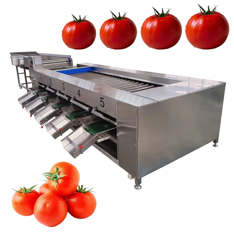 Tomra Potato Mango Fruit Vegetable Sorting Grading Machine Price - Buy ...