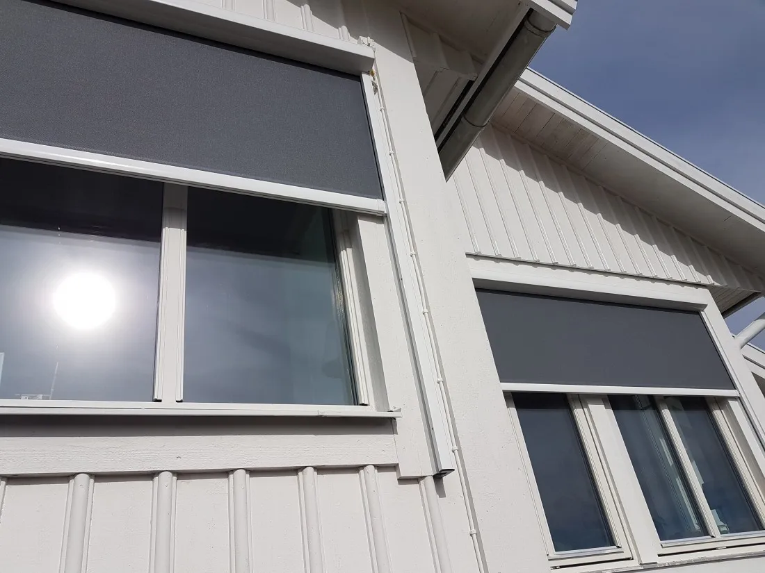 Customized Electric Motorized Roller Blinds Windows Fabric Screen ...