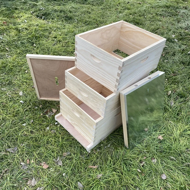 Wholesale Langstroth Bee Hive Boxes - Durable & Efficient