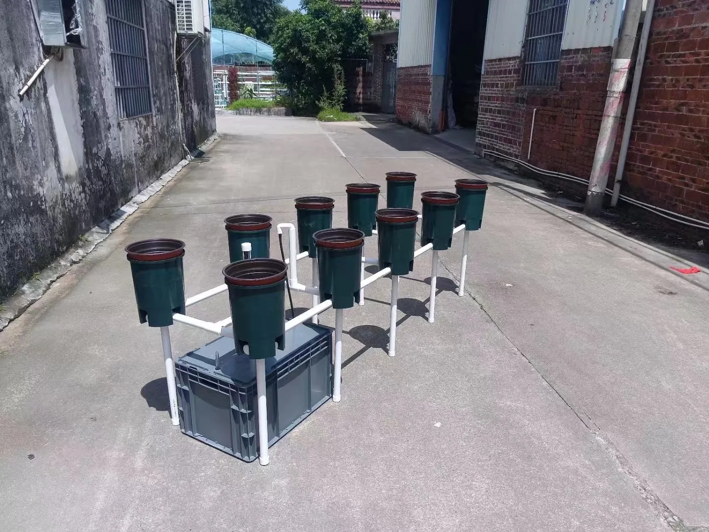 Hydroponics System Indoor Garden Dwc Plant Cloner Bucket Dwc Deep Water ...