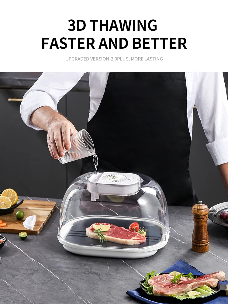 2022 New Defrosting Box For Faster Food De-icing Food-grade Meat ...