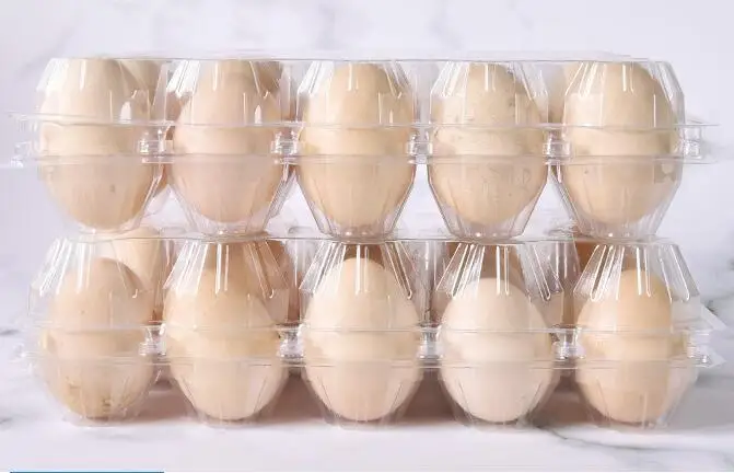 12 Cavities Transparent PET Egg Containers 12 Cells Egg Packaging ...