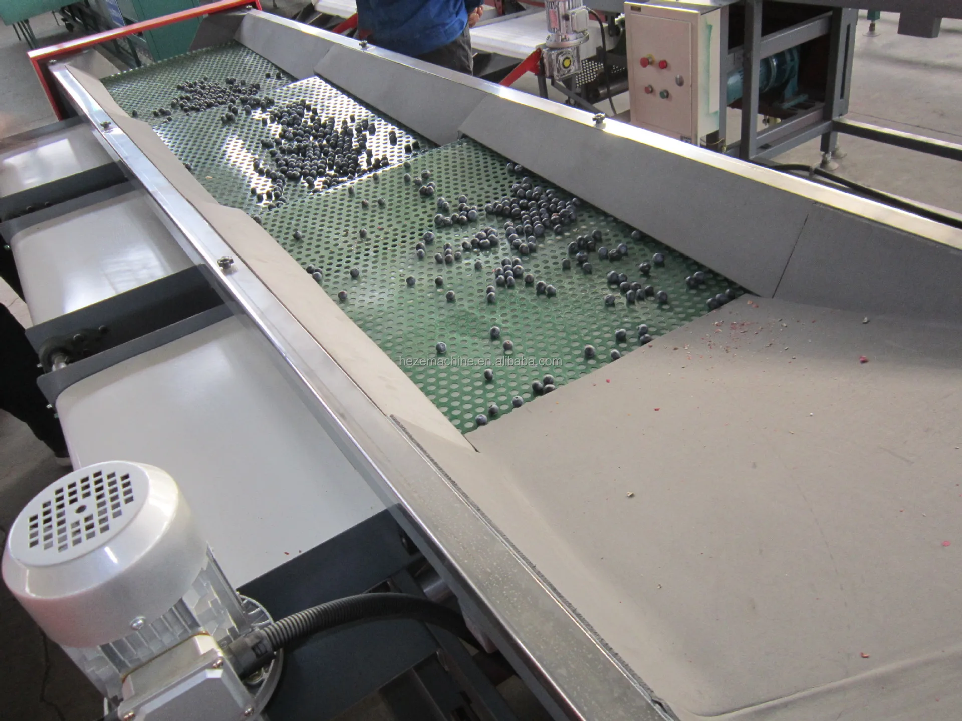 4 Levels Blueberry Sorter - Efficient Fruit Grading Machine