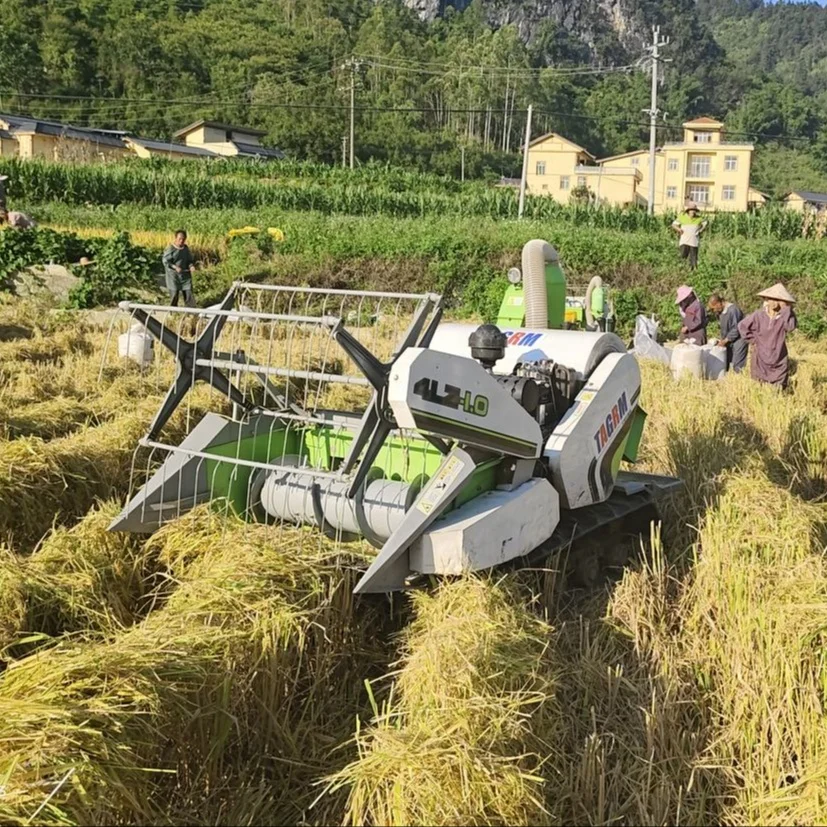 Mini Combine Harvester for Rice and Wheat | 1.2m Cutting Width, 2 Rows ...