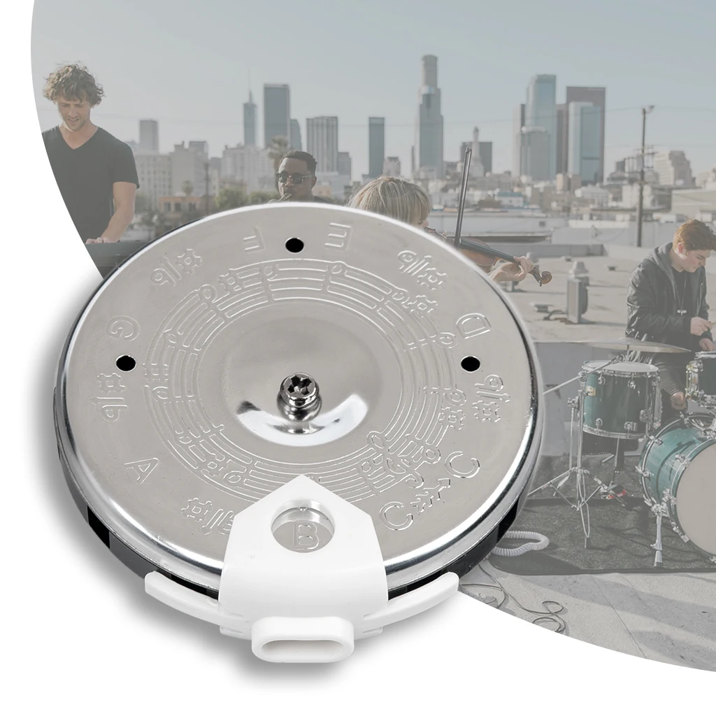 Alice 13 Tones Pitch Pipe - Accurate Tuning for Musicians