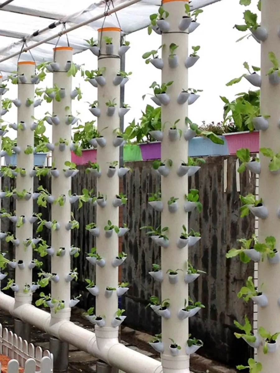 Vertical Column Transplanting Cup Colonization Cup Pipeline Soilless ...