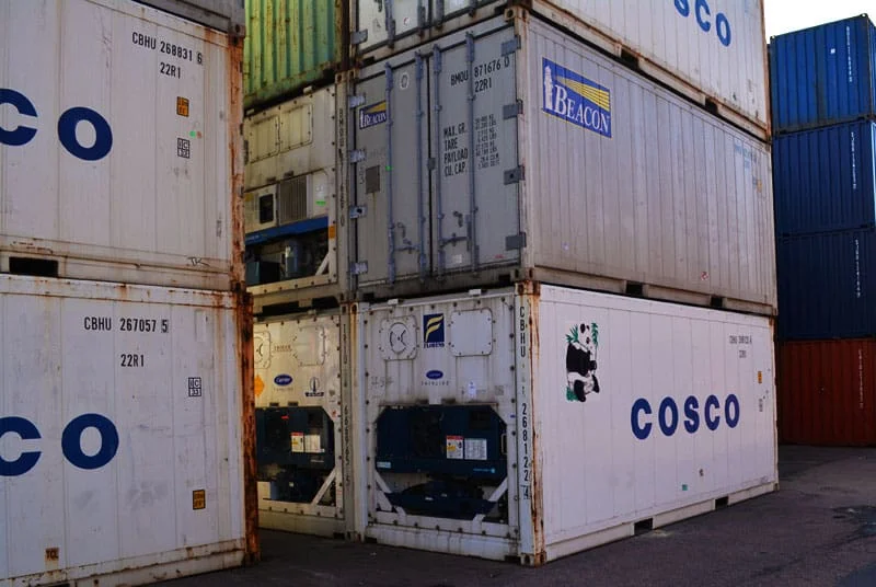 CSC Certified 20ft Reefer Containers - Efficient Cooling