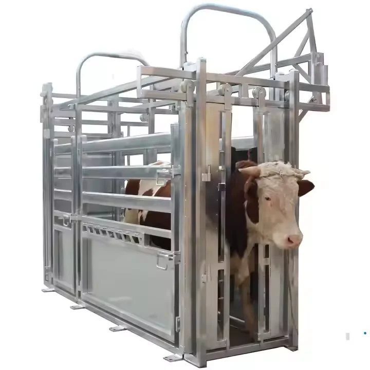 Heavy Duty Automatic Galvanized Cattle Squeeze Chute