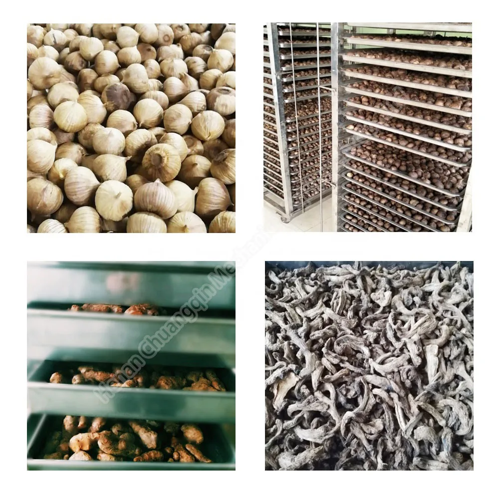Black Garlic Machine 30 Kg Black Garlic Machine Fermenter - Buy Black ...