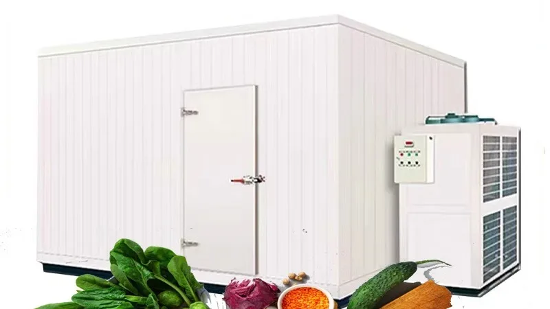 Efficient Cooling System For Cold Room Storage For Improved Temperature ...