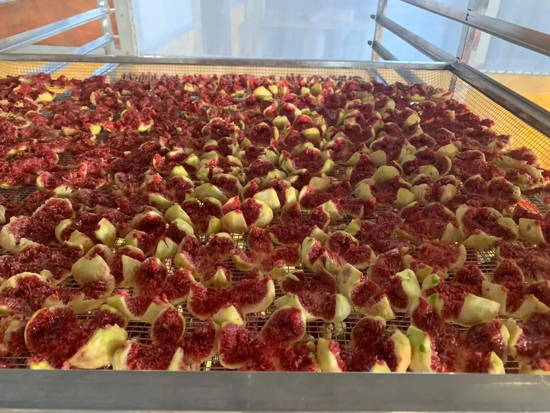 Hot Air Pump Food Tunnel Drying Machine/Nuts Plate Type Dehydrator Room ...