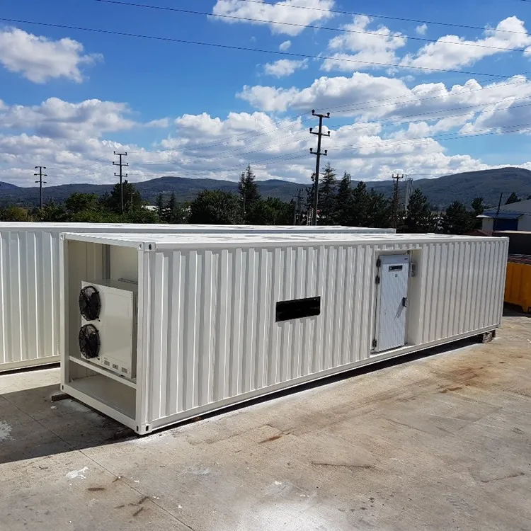 Customizable Cold Storage Solutions for Hotels & Hospitals