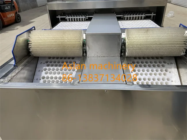 Double Line Date Palm Core Pitting Machine - Efficient & Durable
