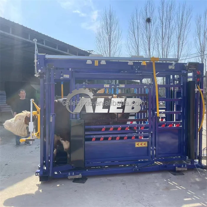 High Efficiency Hydraulic Cattle Squeeze Chute for Farms