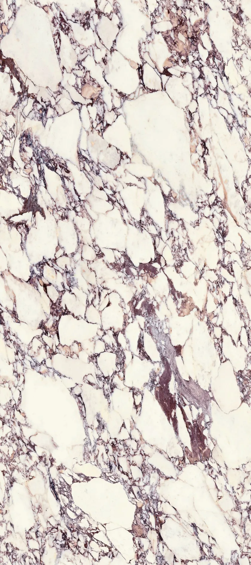 Purple Bulgari Marble Stone Calacatta Viola 1200 X 2700 X 6mm Walling ...