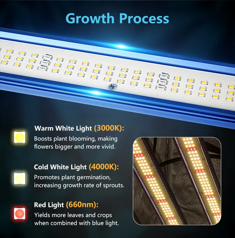 Meijiu 650W 1000W Custom 1200W 1400W 2000W Led Plant Lights Balanced PPFD LM301H EVO Led Grow ...