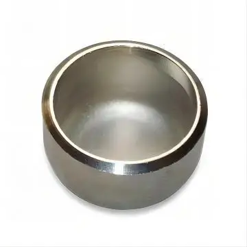 Ss304 Ss316l Stainless Steel Pipe Fittings Welded Oval Head Ball End ...