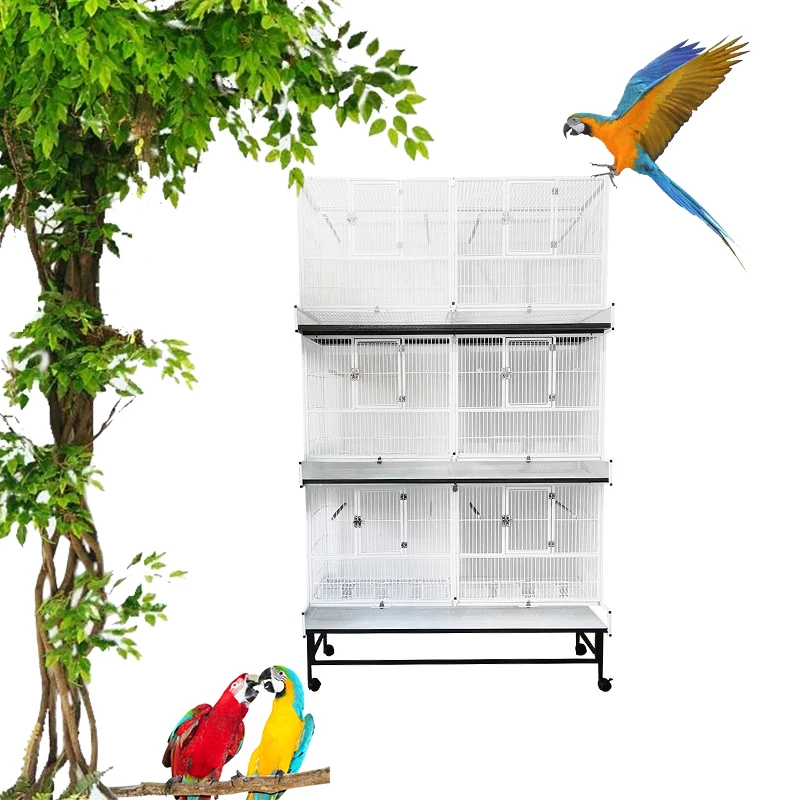 Luxury Designs Wholesale Black Steel Metal Iron Aviary Canary Budgie ...