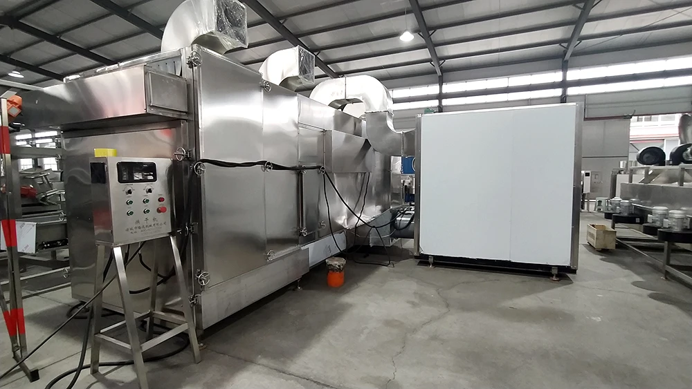 Garlic Peeling Production Line - Efficient Drying Solutions