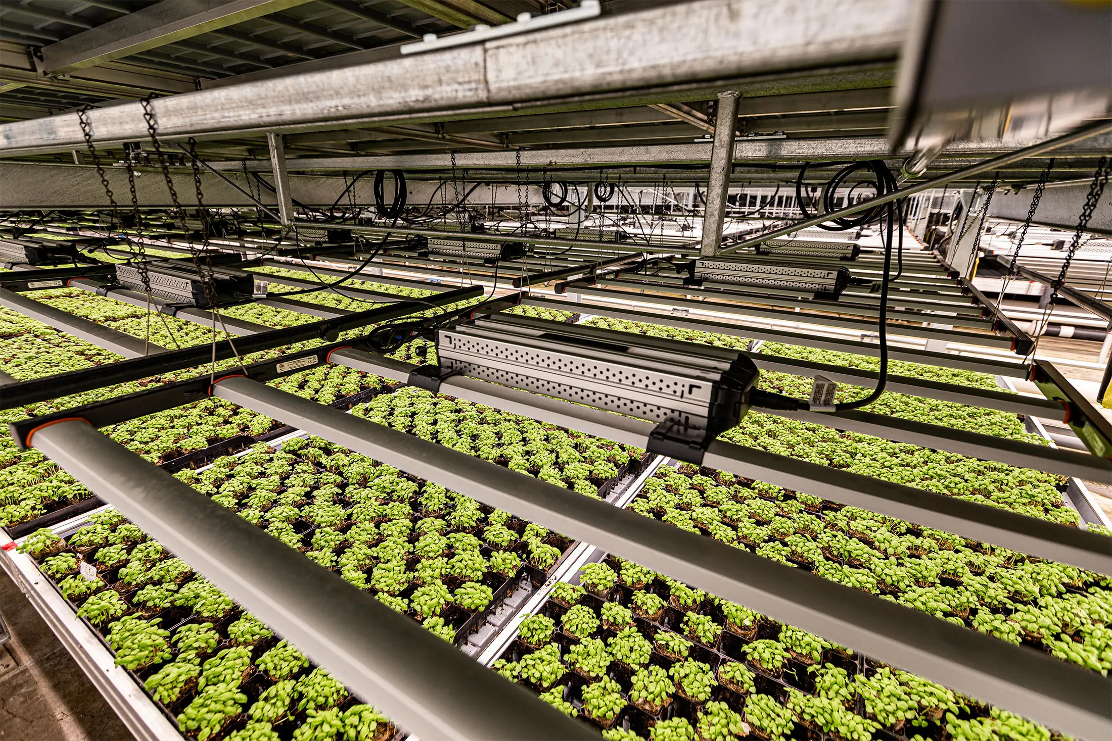 Smart Farm 40ft Shipping Container Hydroponic Vertical Farming System ...