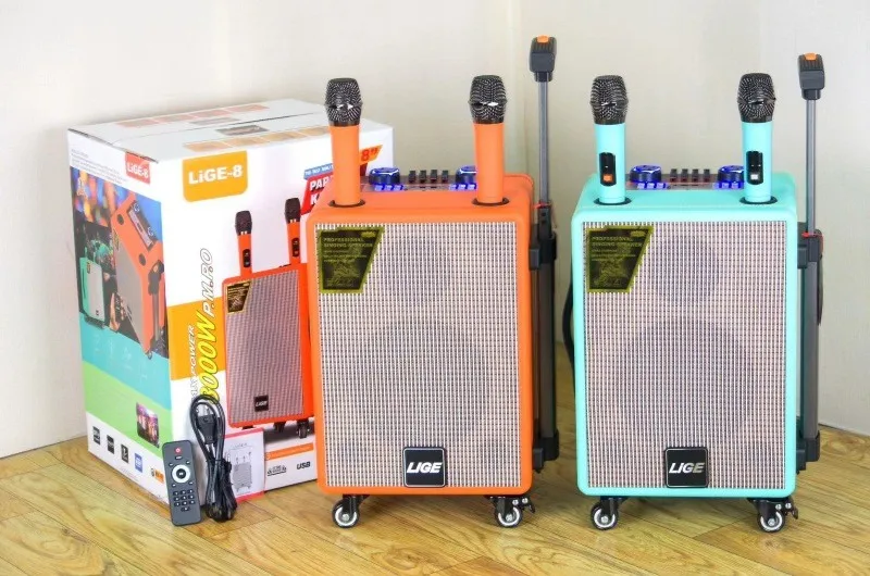 8 Inch Woodiness Bass Trolley with Karaoke Party Speaker