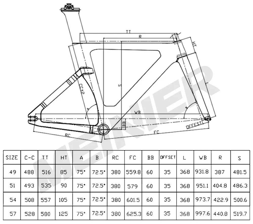 2024 Customized Full Carbon Track Frame - Single Speed Bikes