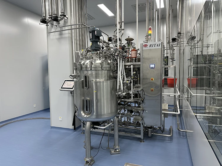 Lab Fixed Packed Bed Bioreactor - Immobilized Cell Bioreactor