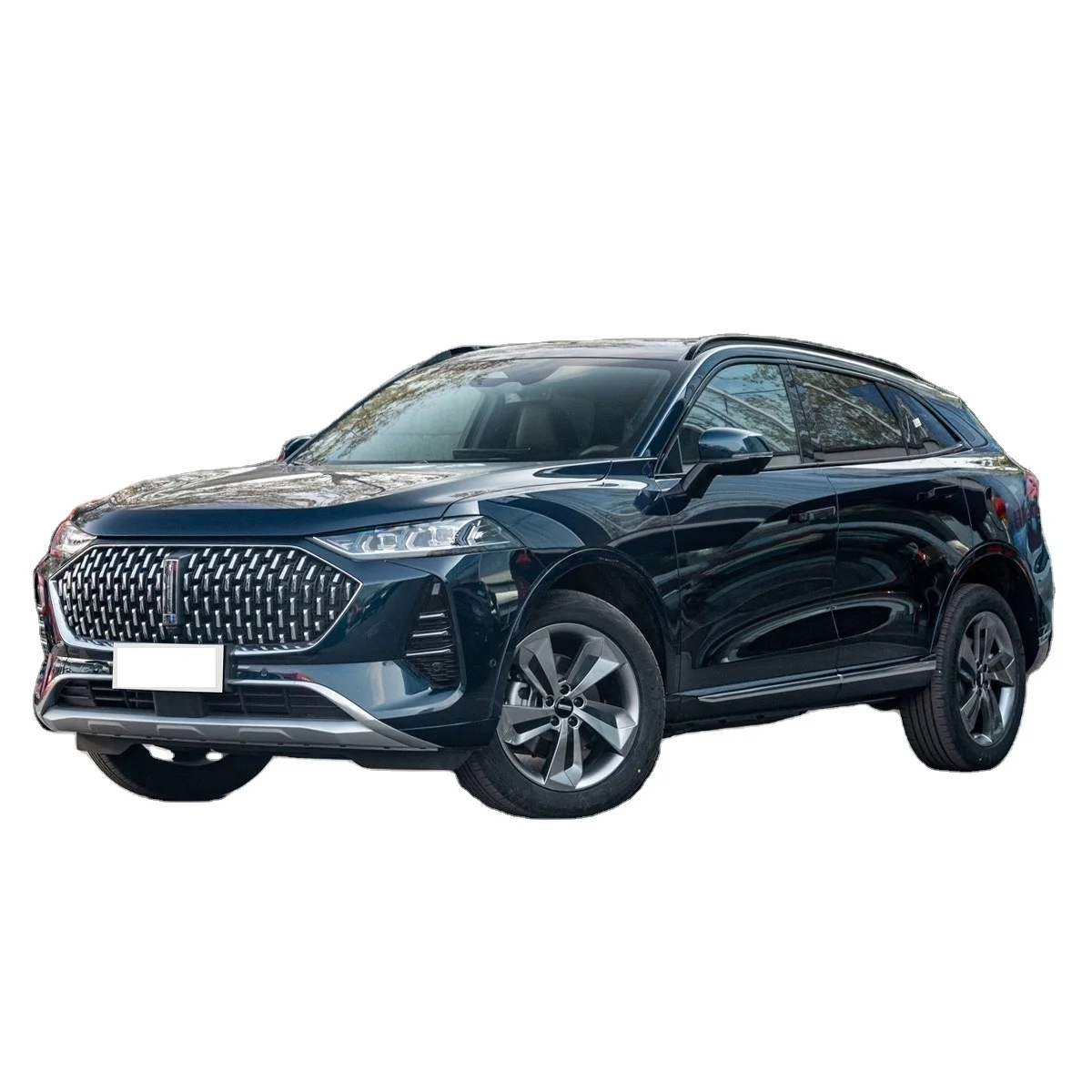 Wind retailer Shield for Wey