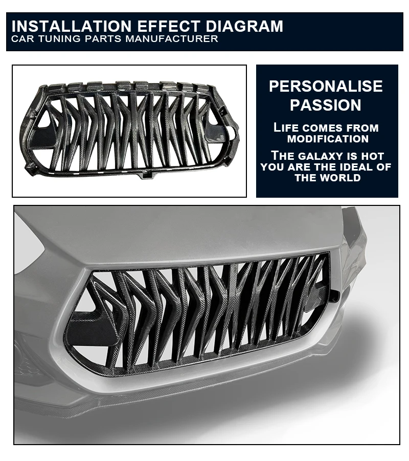 Carbon Fiber SW Design Front Grille for Suzuki Swift Sport