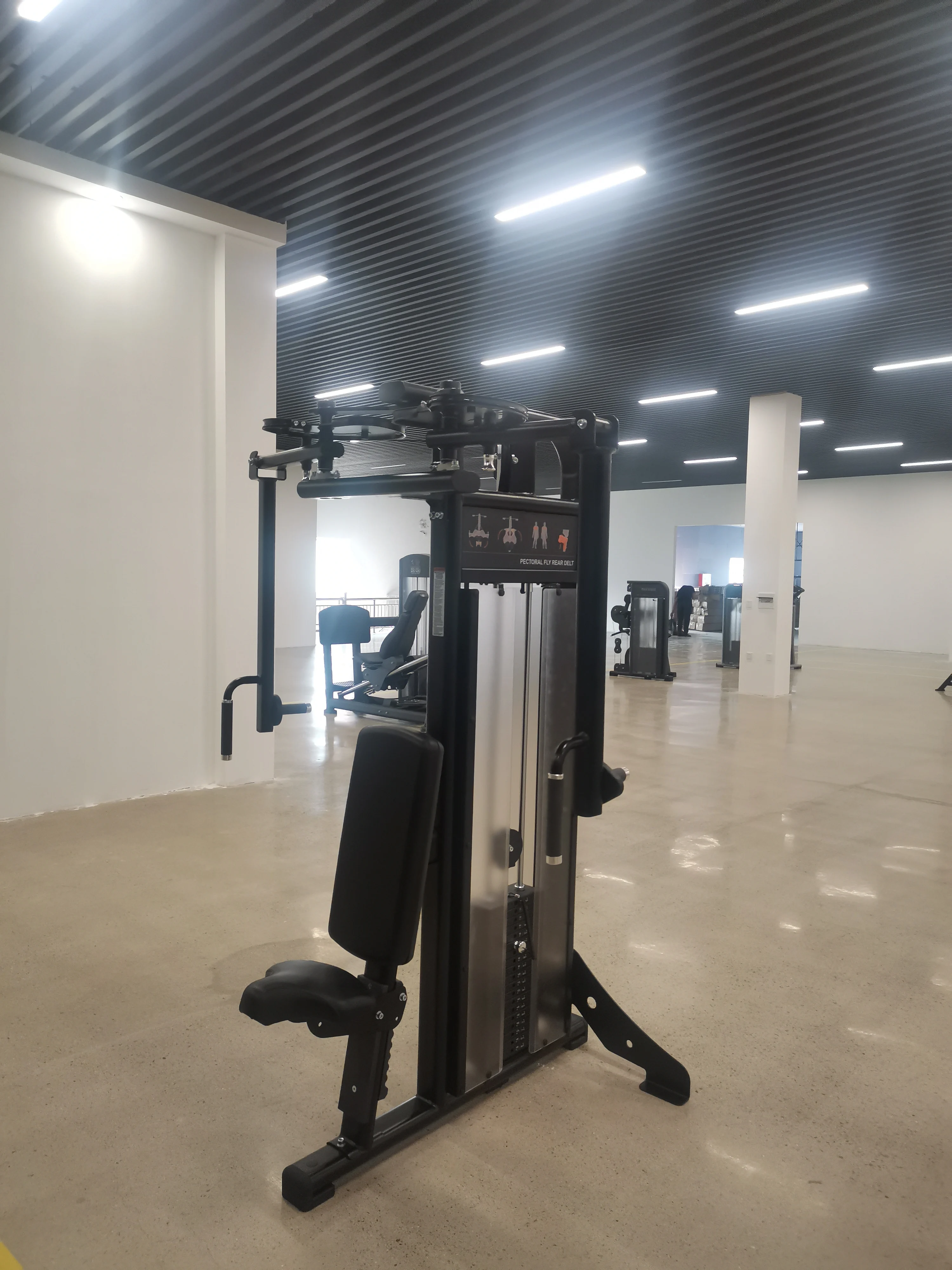 Rear Delt Machinepectoral Fly/rear Deltoidpec Deck Fly Fitness ...