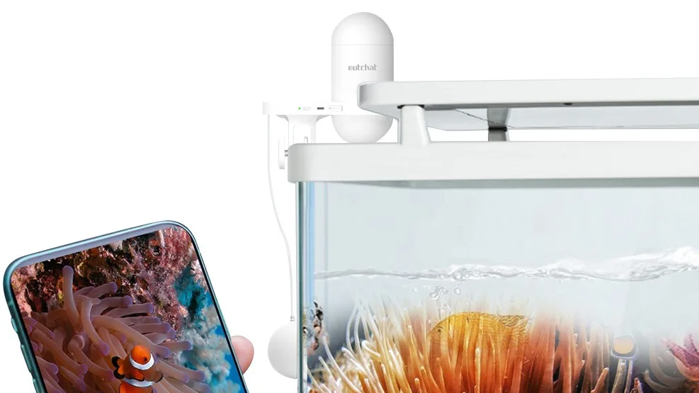 Goldfish Feeder Automatic Smart Fish Feeder System Wifi With Real Time Monitoring - Buy Smart ...