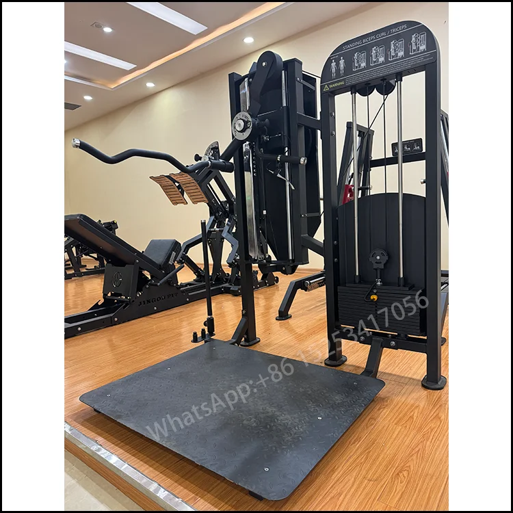 New Design Dual Functional Trainer Arms Biceps Triceps Curl Machine ...