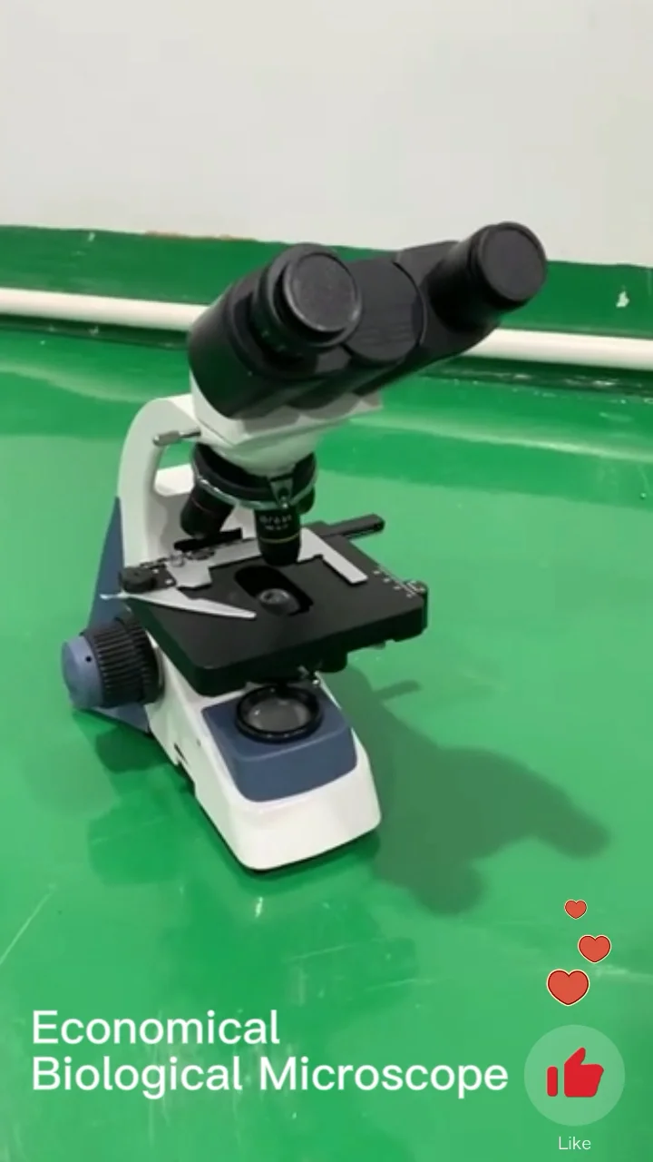 Biobase Medical Binocular Microscopes Economic Laboratory Binocular ...
