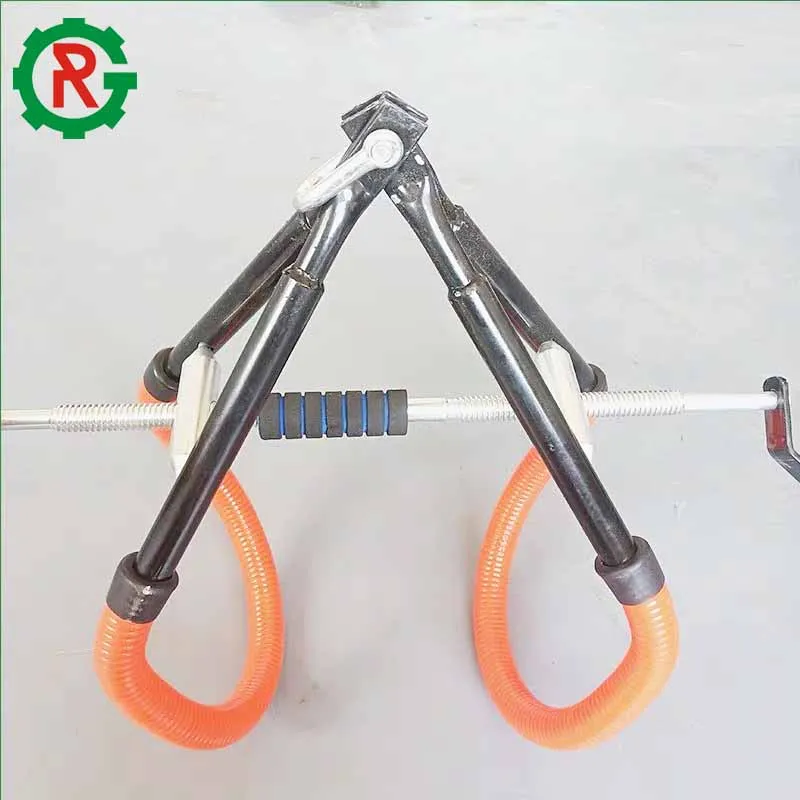 Cow Hip Lift Lifting with a Hip Clamp Assisting Cow Into Standing ...