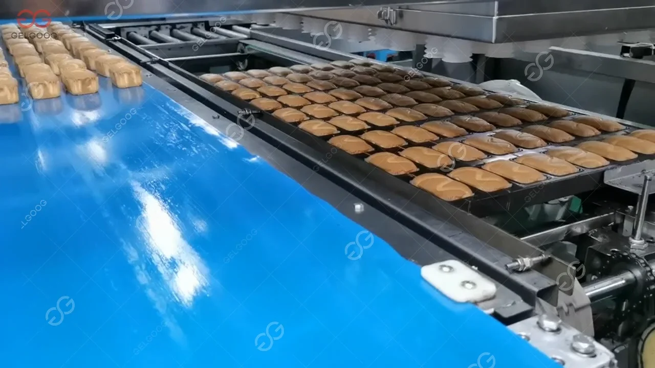 Industrial Commercial Madeleine Chinese Cake Production Line Soft Cup ...