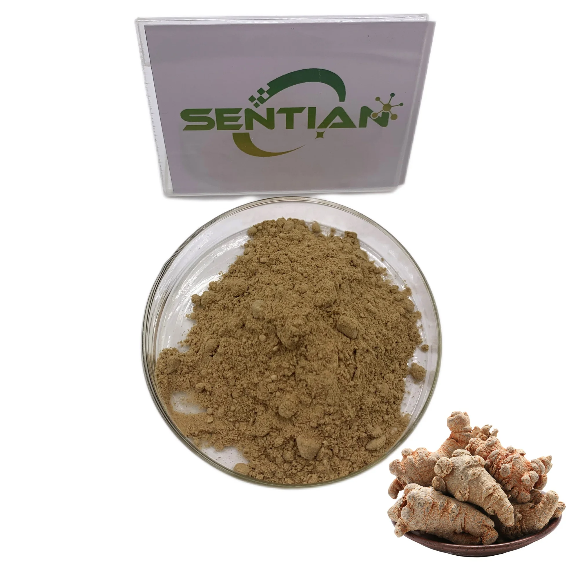 Radix Notoginseng P.E. Powder - Panax Notoginseng Extract