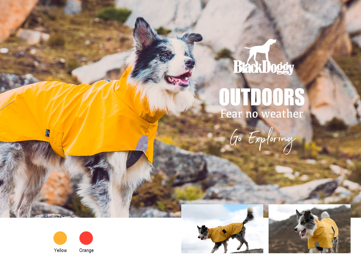 BlackDoggy Yellow Solid PU Eco-Friendly Sports Style Dog Raincoat for ...