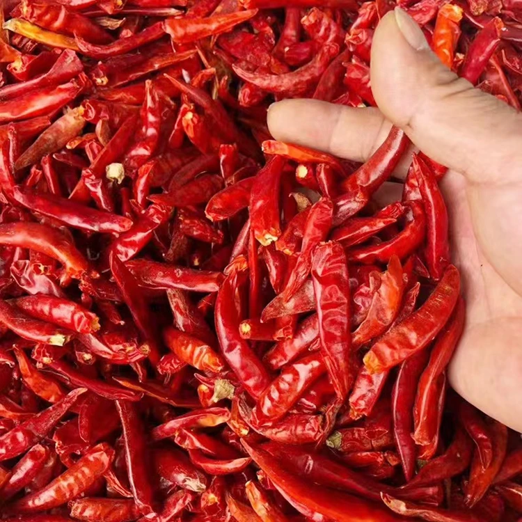New Crops Er Jing Tiao Hot Spicy Dried Red Chili Natural Dried Red Hot Pepper Food Seasoning Hot ...