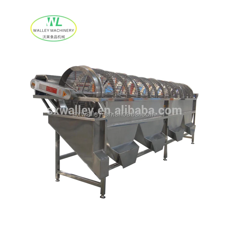 Customizing Automation Seafood Rotary Drum Grader