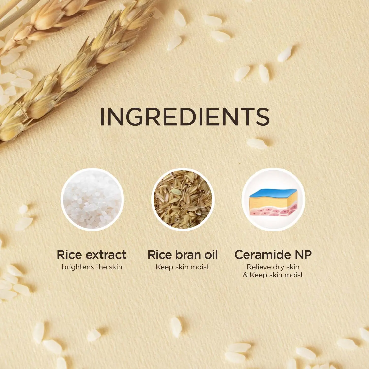 Oem Odm Starplex Organic Rice Hydrating Face Care Set Brightening ...