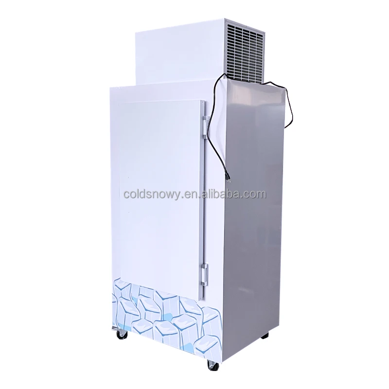 Indoor Ice Merchandiser Bagged Ice Freezer,Commercial Portable Ice ...
