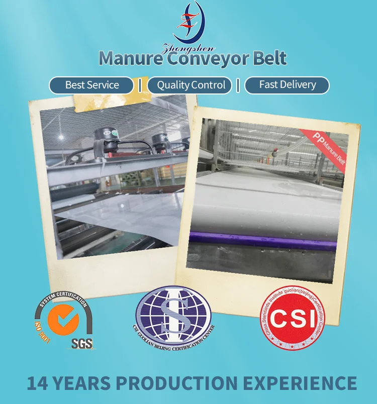 Customized Poultry Manure Conveyor Belts - Durable & Efficient