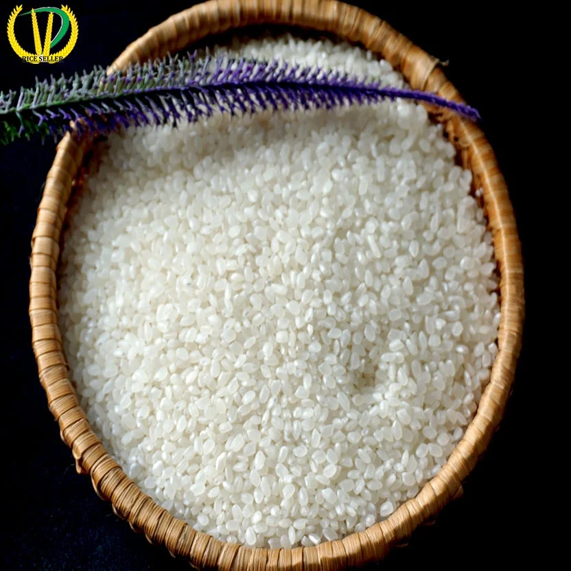 Round Rice Premium Quality Calrose Japonica Rice From Vietnam Camolino Rice Sushi Low Price Good ...