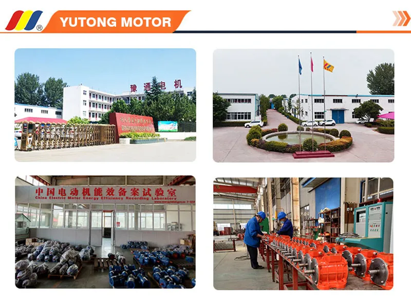 Mve Yzs Yzu Ybz 1kn 3kn 5kn 10kn 30kn 50kn 75kn 100kn 140kn Vibrator Motor For Vibrating Feeder ...