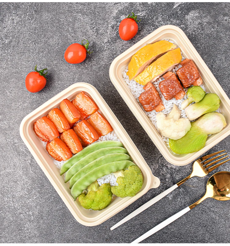 Cornstarch Food Containers Biodegradable Corn Starch Lunch Box For Take ...